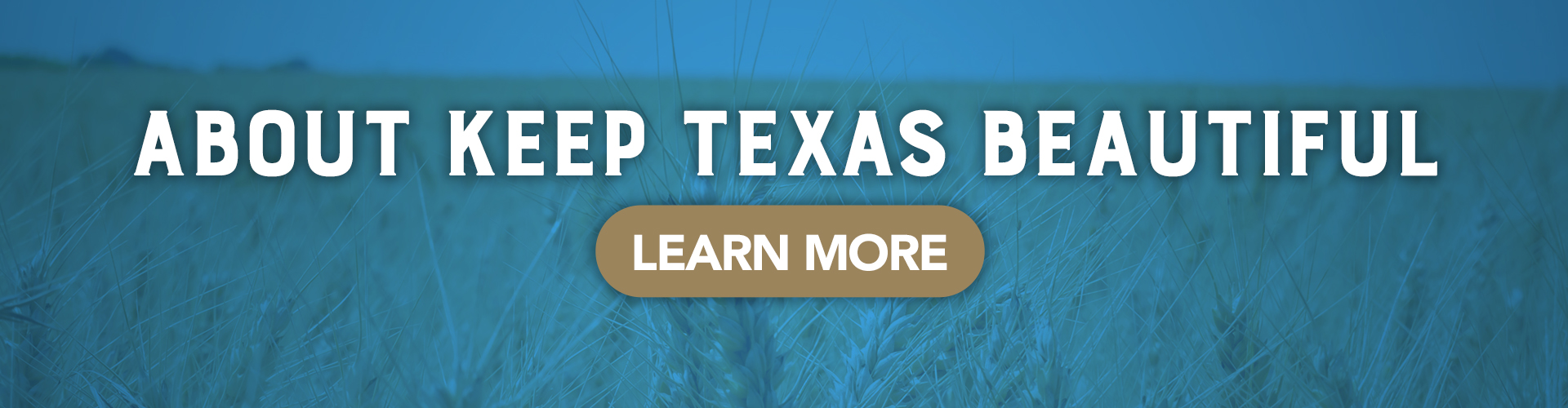 Keep Texas Beautiful - Yuengling