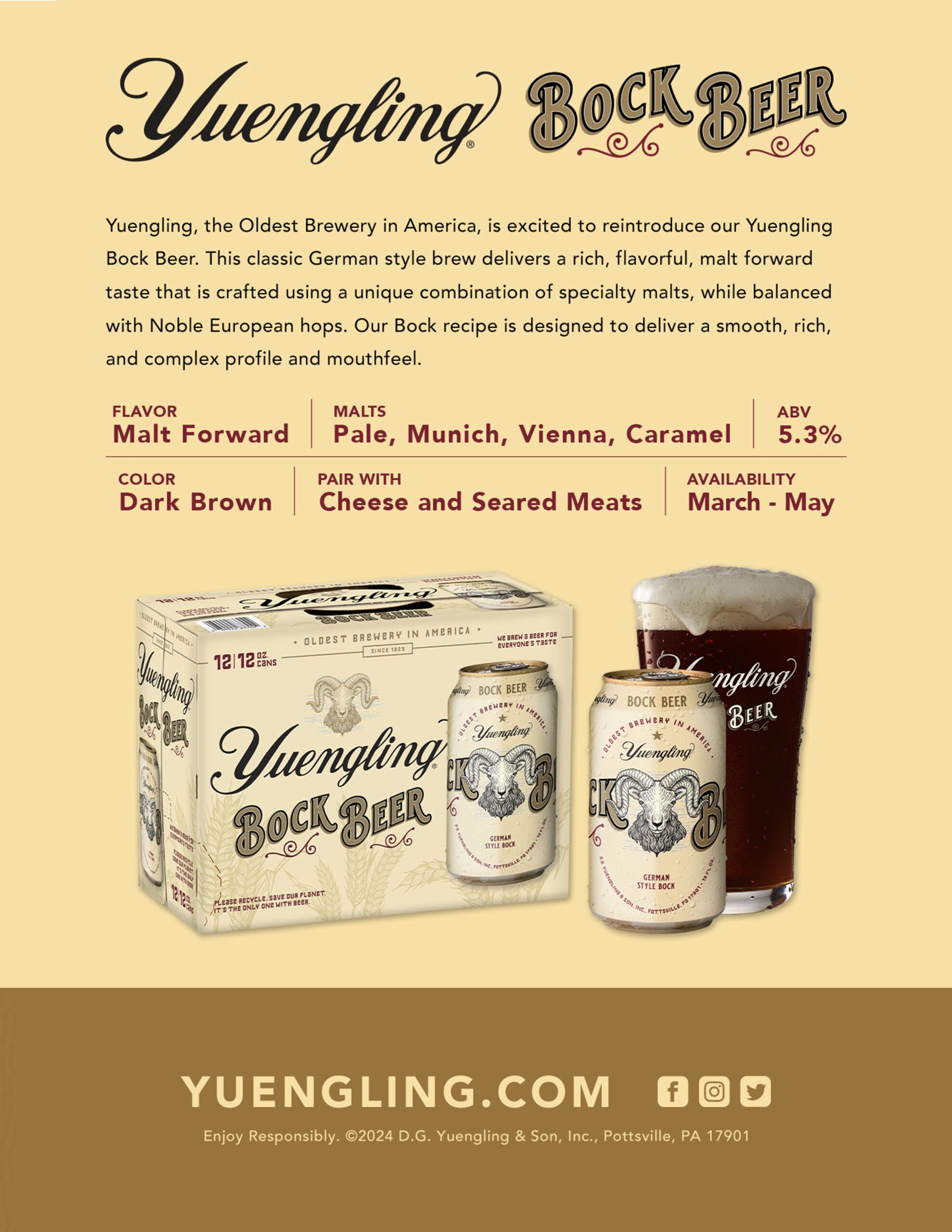 Tampa, FL - Yuengling